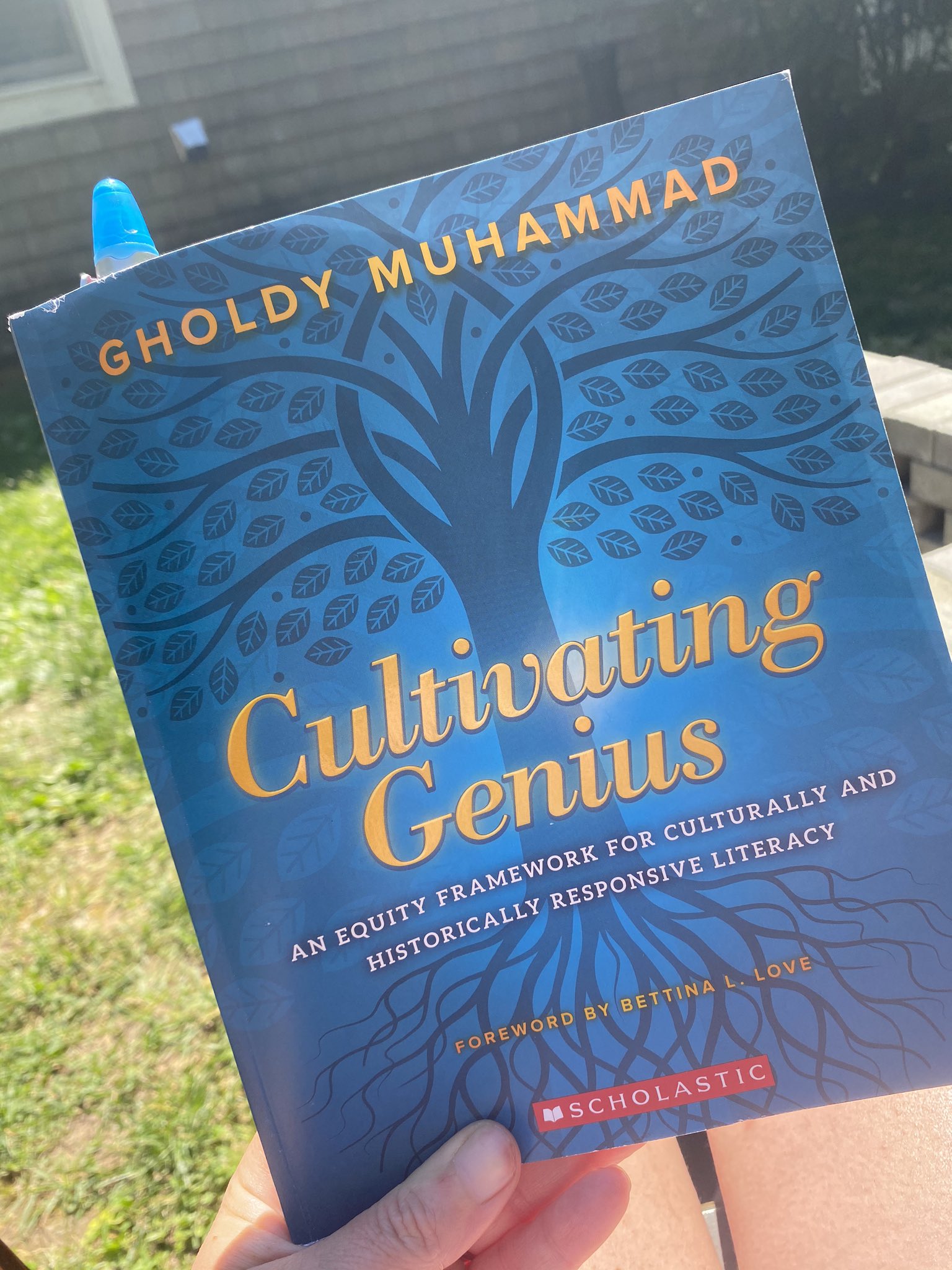 Summer Book Club: Cultivating Genius – Inside the Launch Window